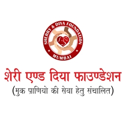 Razorpay.me - Sherry and Diya Foundation