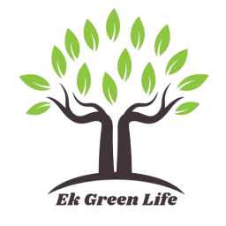 Merchant's company logo