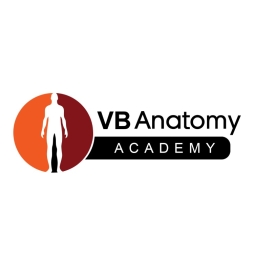 Merchant's company logo